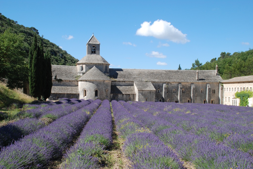 La Belleza De La Abad a De S nanque Francia Ser Turista La Belleza De La Abad a De S nanque Francia Ser Turista